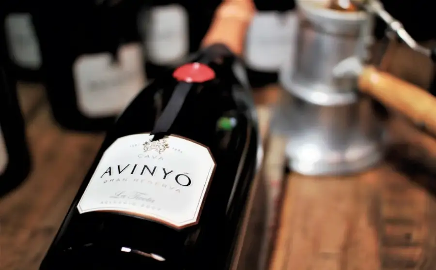 Avinyó Cava “Abiertos a los sentidos"
